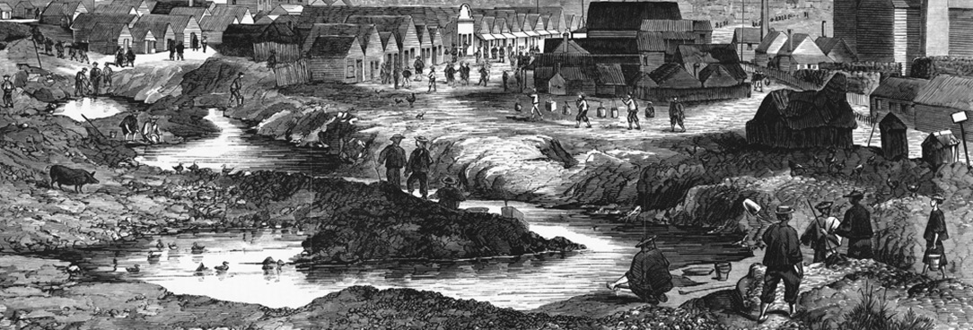 ‘The most determined, sustained diggers’ resistance campaign’ | PROV